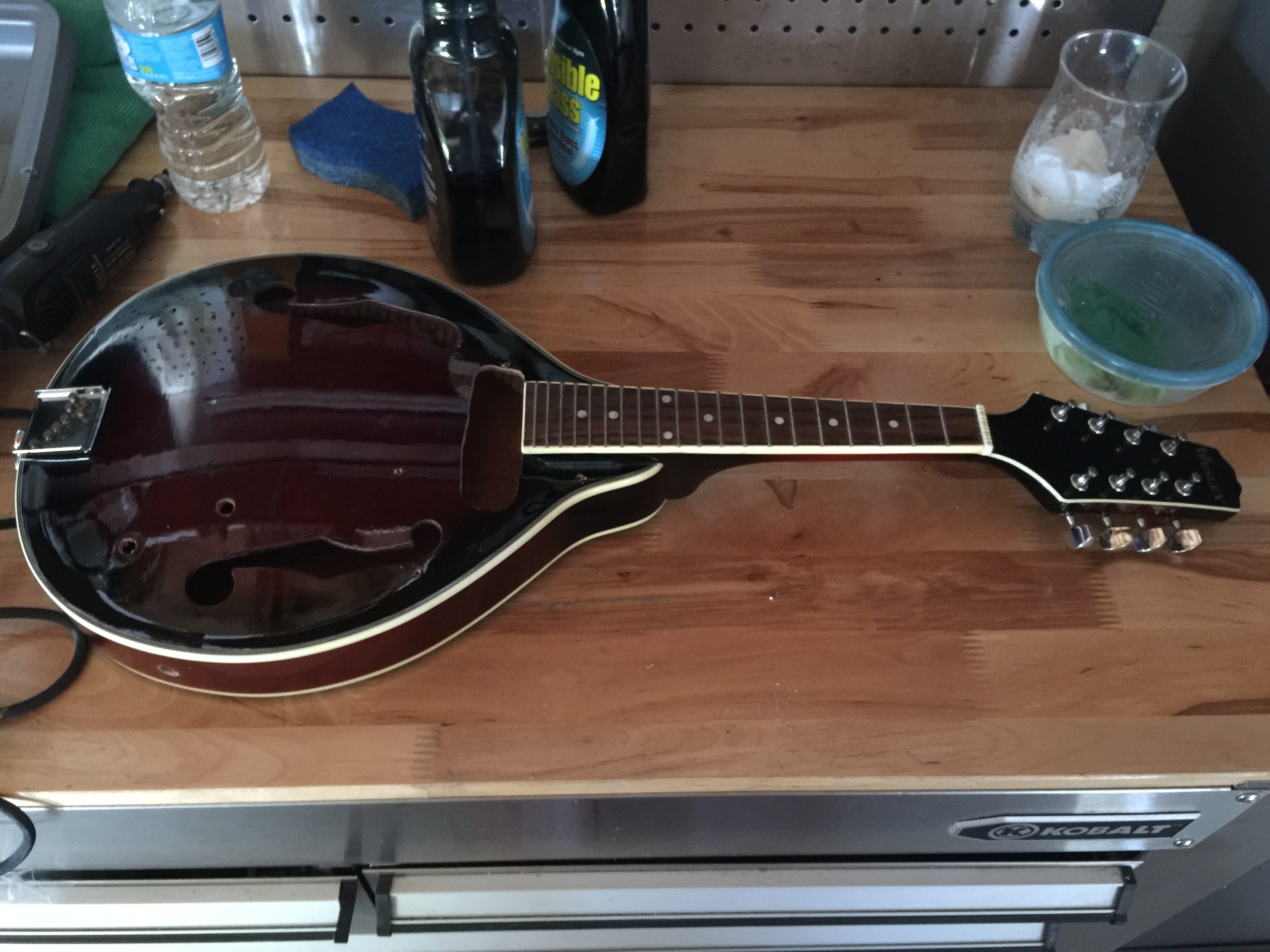 4 String Electric Mandolin